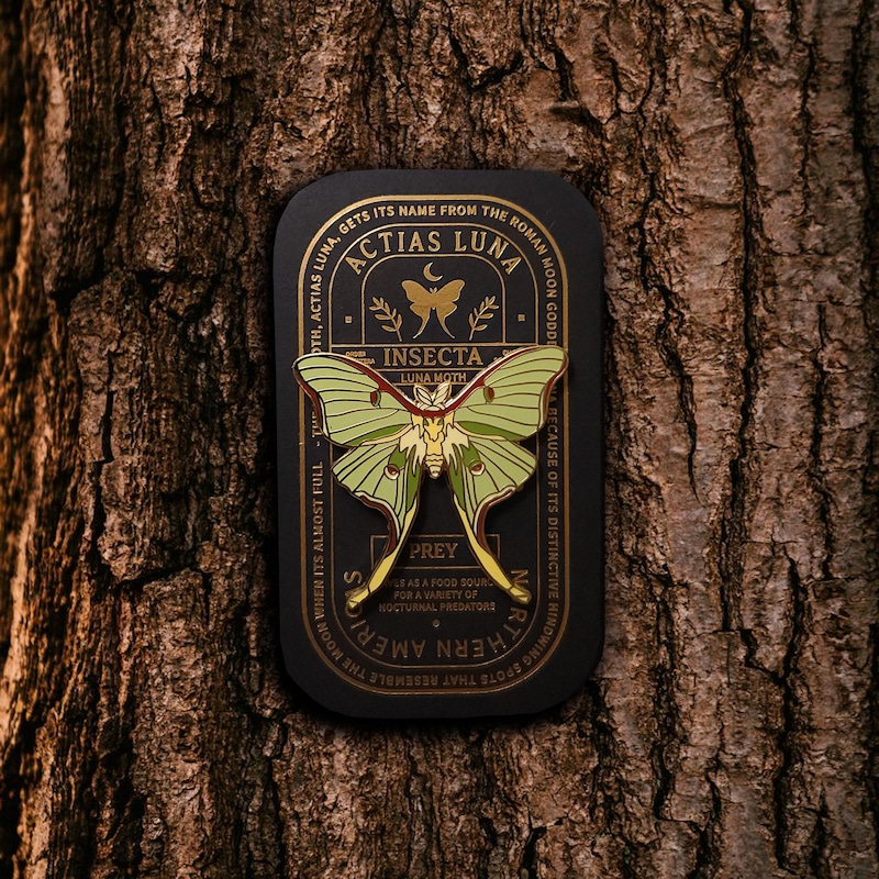 Luna Moth Pin - Etsy