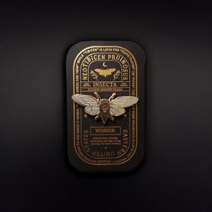 Scissor Grinder Cicada - Neotibicen Pruinosus - Educational Insect ...