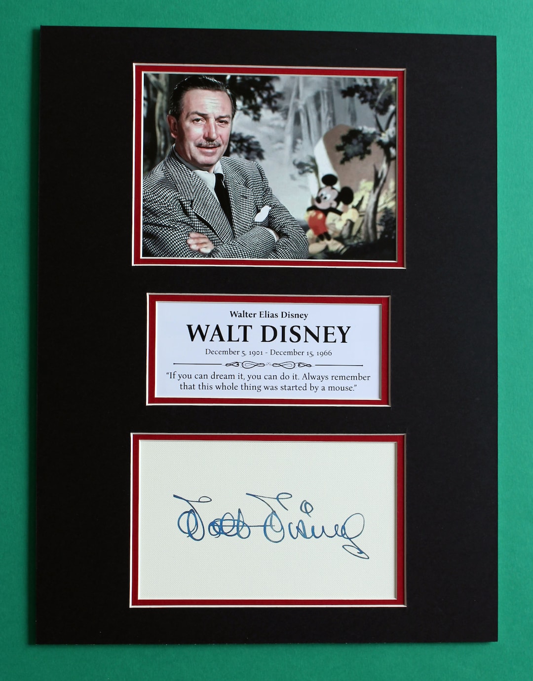 WALT DISNEY AUTOGRAPH Artistic Display Minnie & Mickey Mouse - Etsy