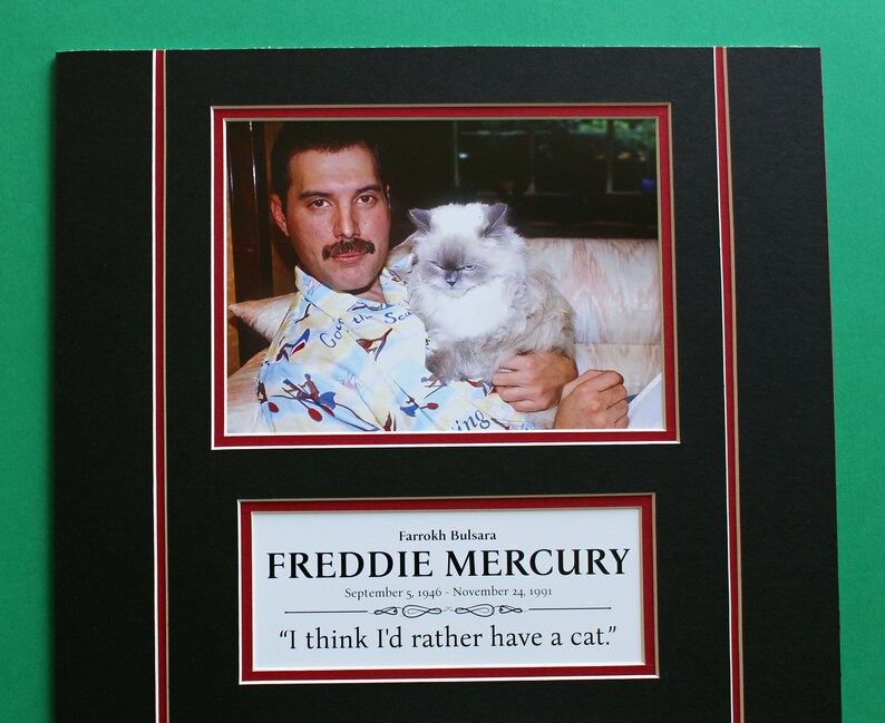 FREDDIE MERCURY & His Cat AUTOGRAPHS Artistic Double Mat Display Cat Lover Sweet High Level - Etsy