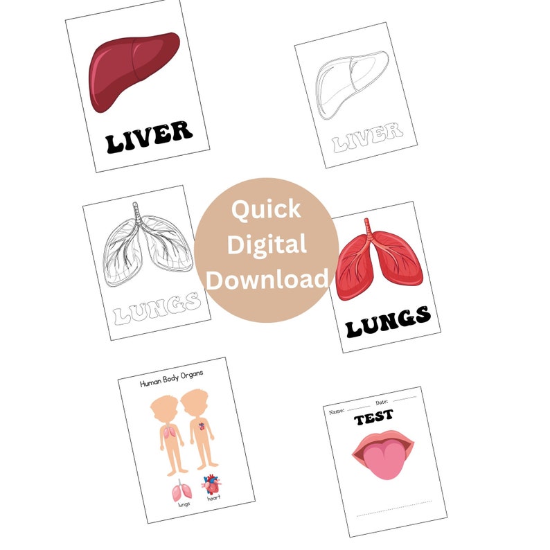 Kids Anatomy Coloring Worksheets for Ages 3-8 | Educational Body ...