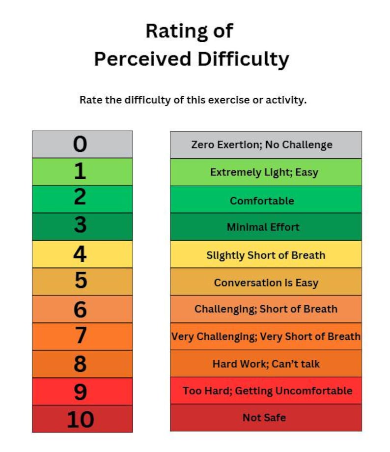 Borg Rating of Perceived Exertion. Modified Borg. English and Spanish ...