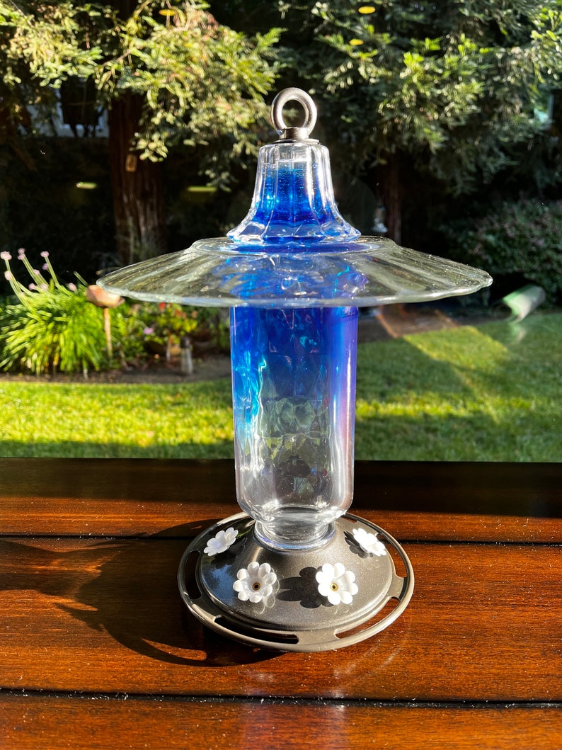 Glass Hummingbird Feeder - Blue Crown - Etsy