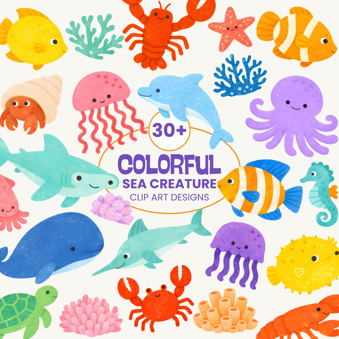 Sea Creature Clipart Bundle | Ocean Animals PNG | Colorful Under the ...