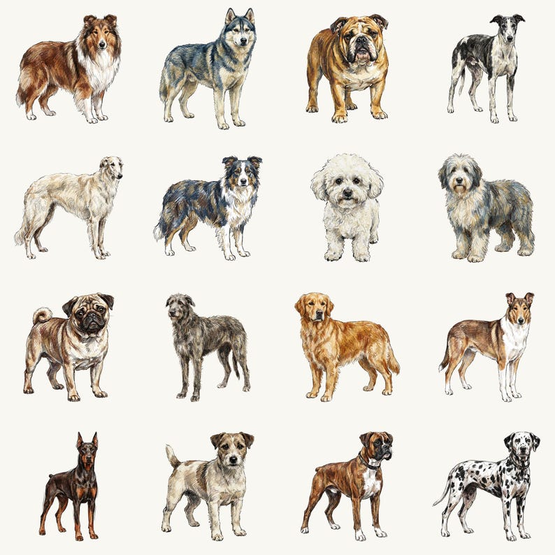 Dog Breed Clip Art PNG Bundle | 30+ Realistic Watercolor Dogs, Puppy ...