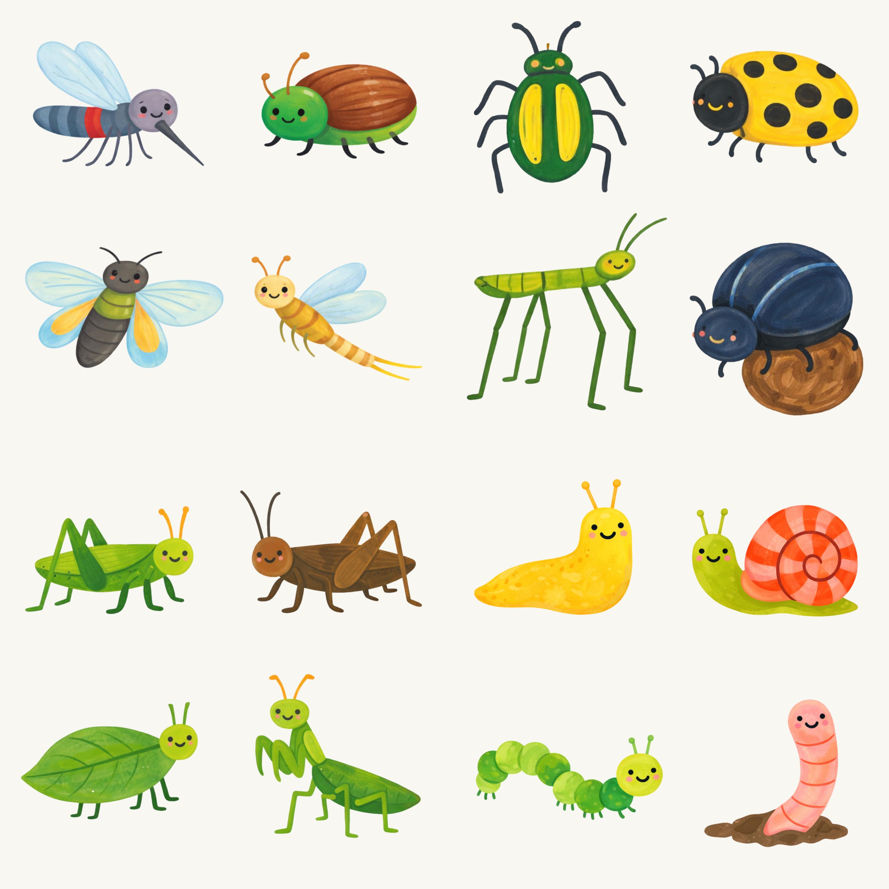 Colorful Bug Clip Art Bundle | Insect Clipart for Kids | Bugs and ...