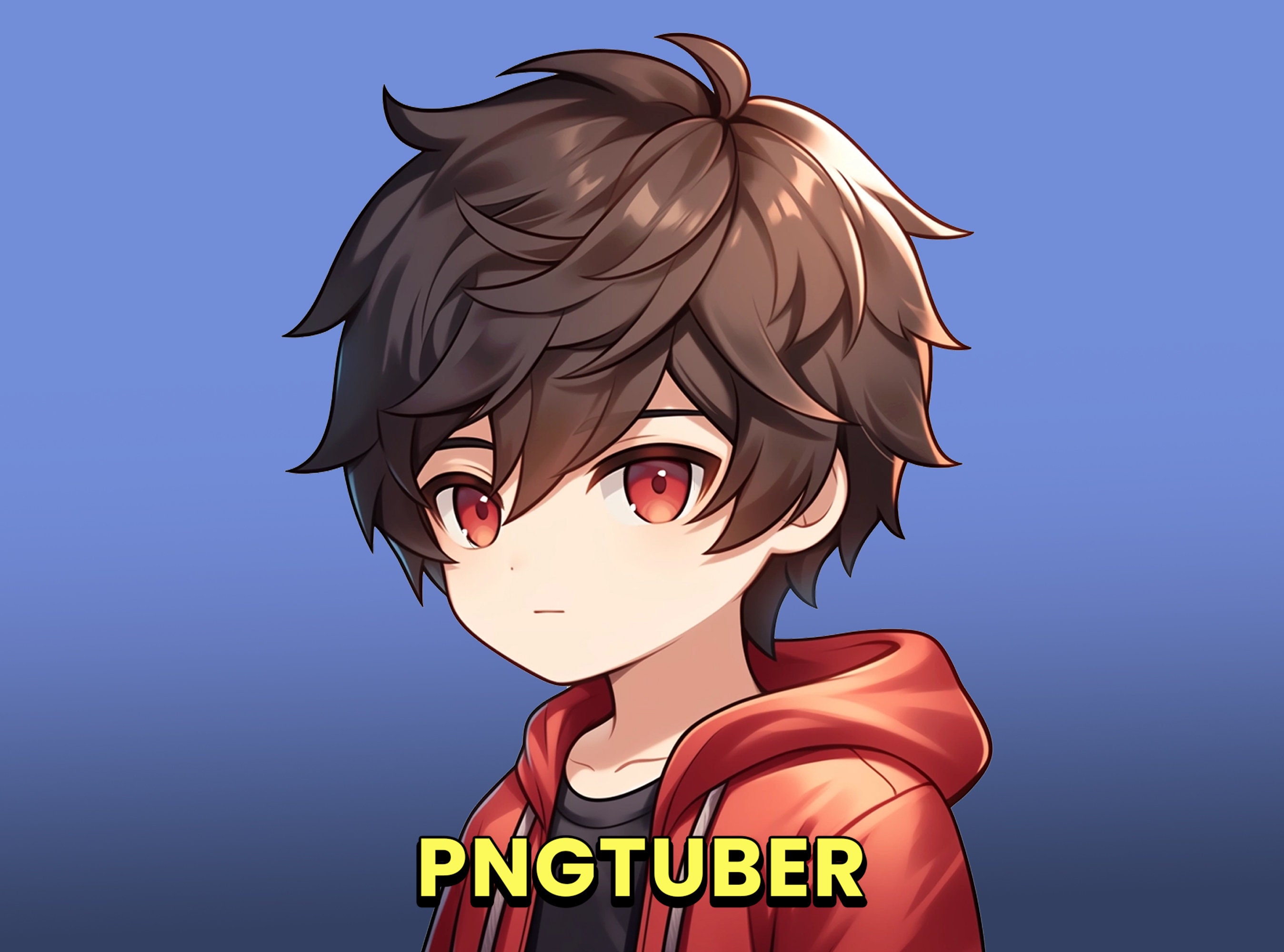 Chibi Boy Pngtuber Model: Ready to Use Vtuber Asset - Etsy