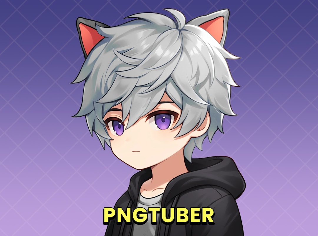 Chibi Cat Boy Pngtuber: Ready to Use Vtuber Model - Etsy