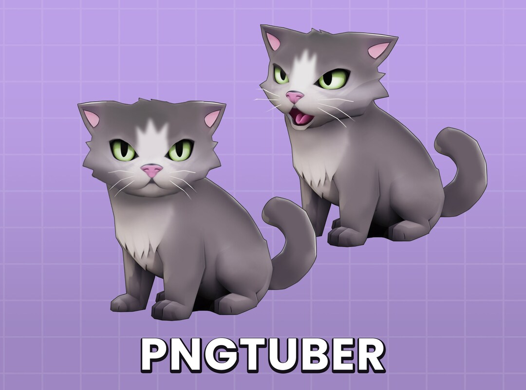 Cat Pngtuber Png Tuber Model Vtuber Avatar for Gaming - Etsy Australia