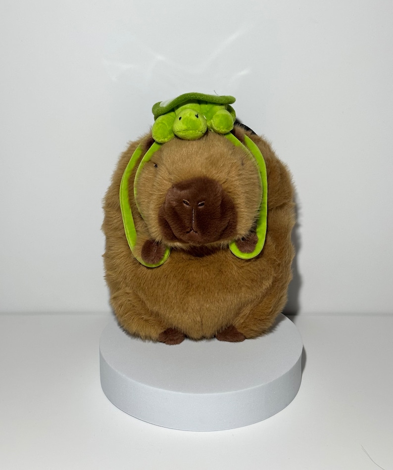 Capybara Chalk Bag W/ Turtle - Etsy