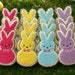 Easter Bunny Chenille Iron on Patch, Easter Bunny Pastel Iron on ...