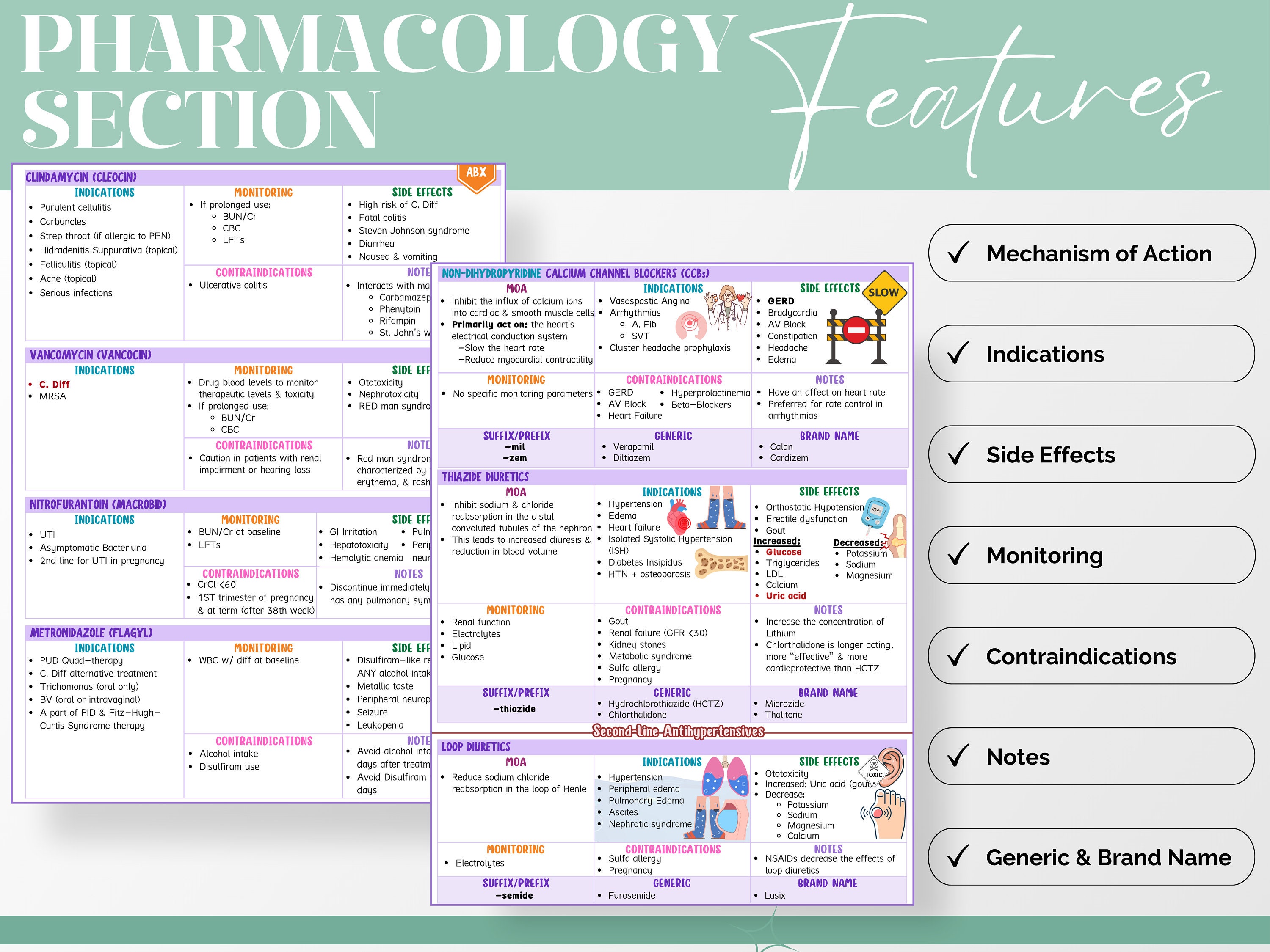 FNP Pediatric Study Guide for Nurse Practitioner AANP/ANCC Board Exam ...