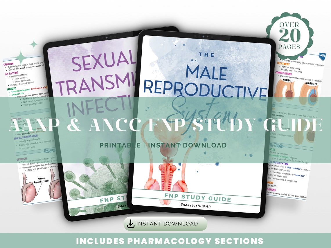 STI & Male Reproductive System Study Guide Nurse Practitioner AANP ANCC ...