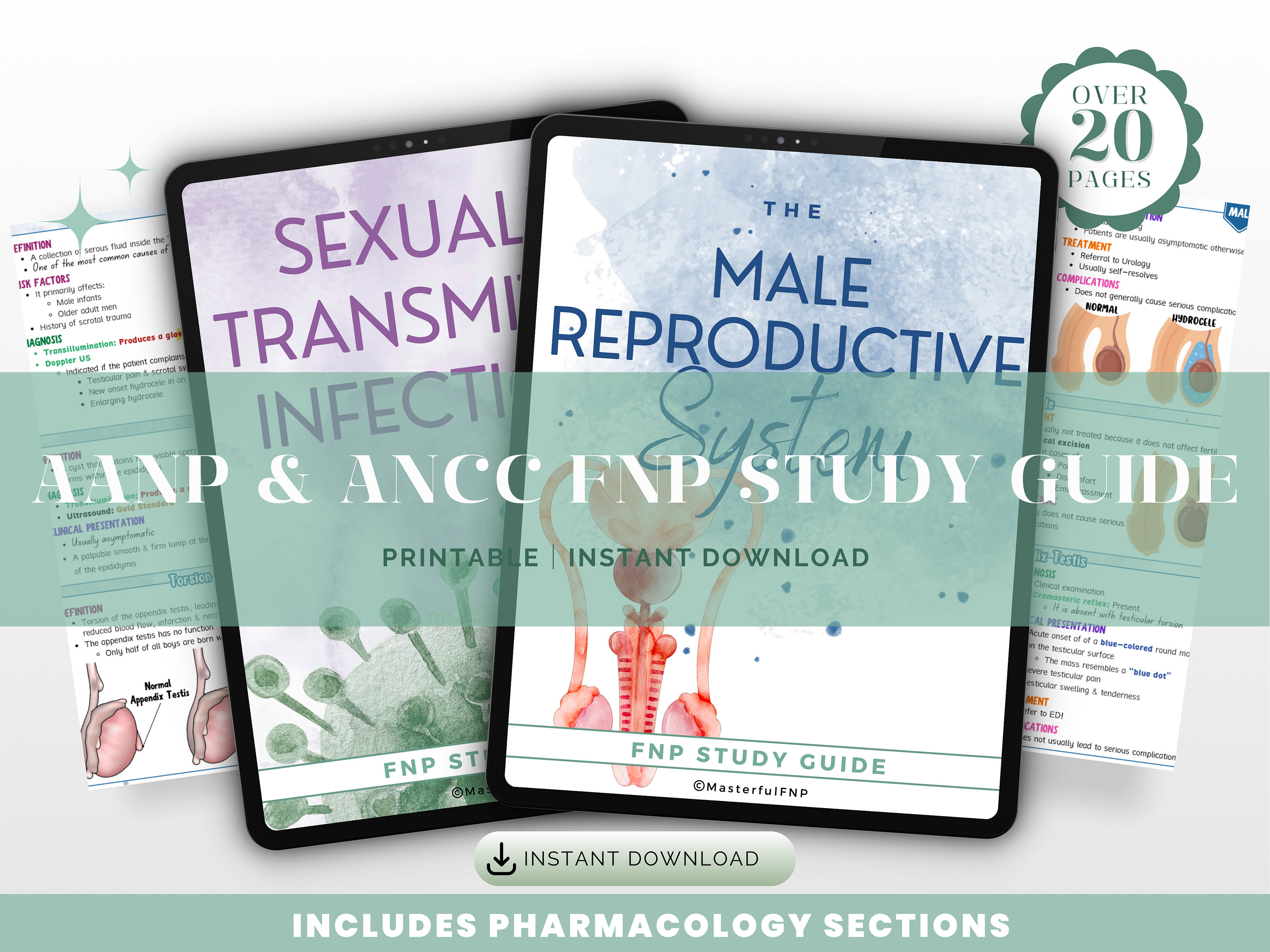 STI & Male Reproductive System Study Guide Nurse Practitioner AANP ANCC ...