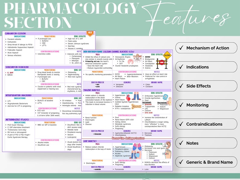 STI & Male Reproductive System Study Guide Nurse Practitioner AANP ANCC ...