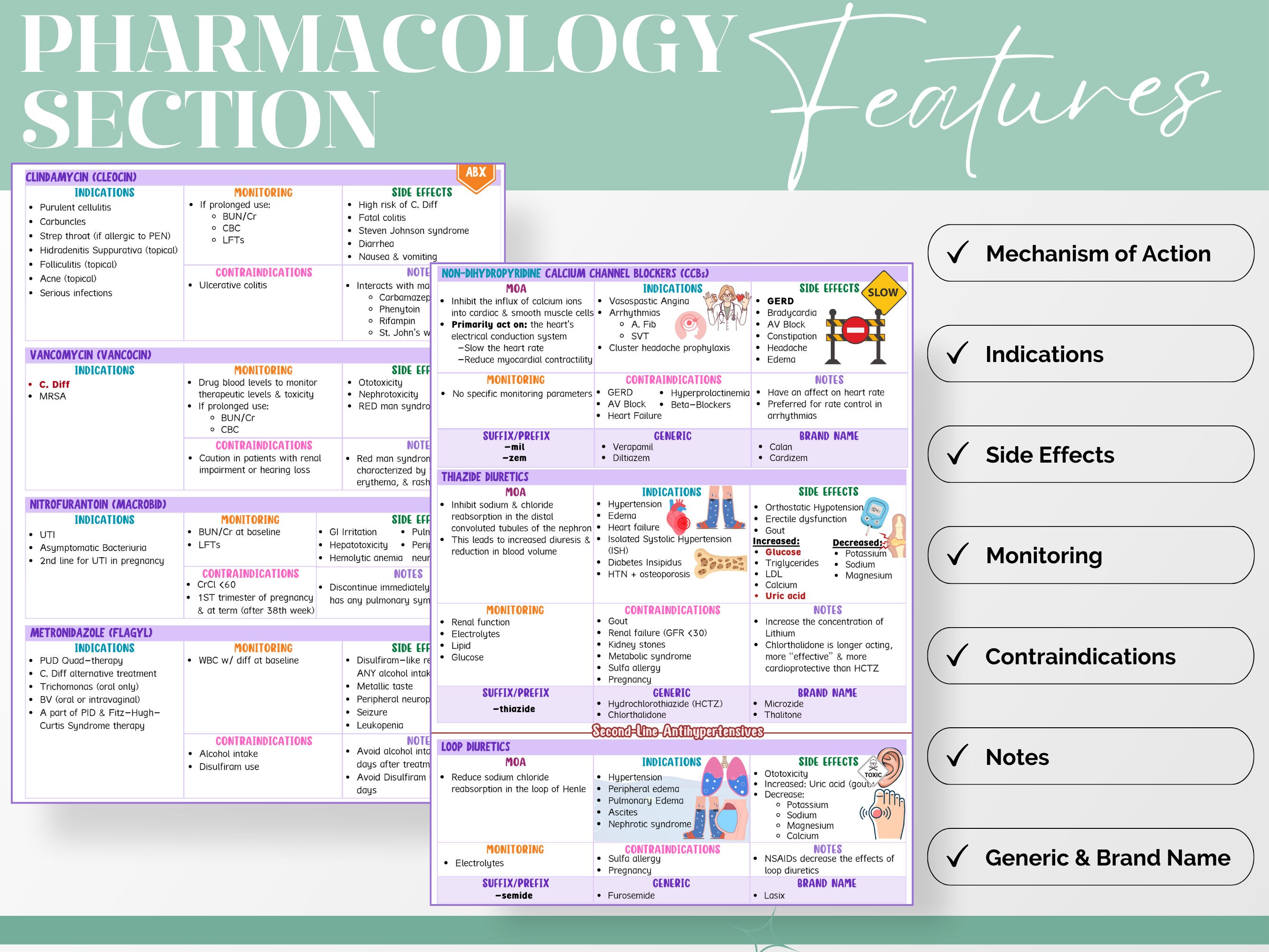 STI & Male Reproductive System Study Guide Nurse Practitioner AANP ANCC ...