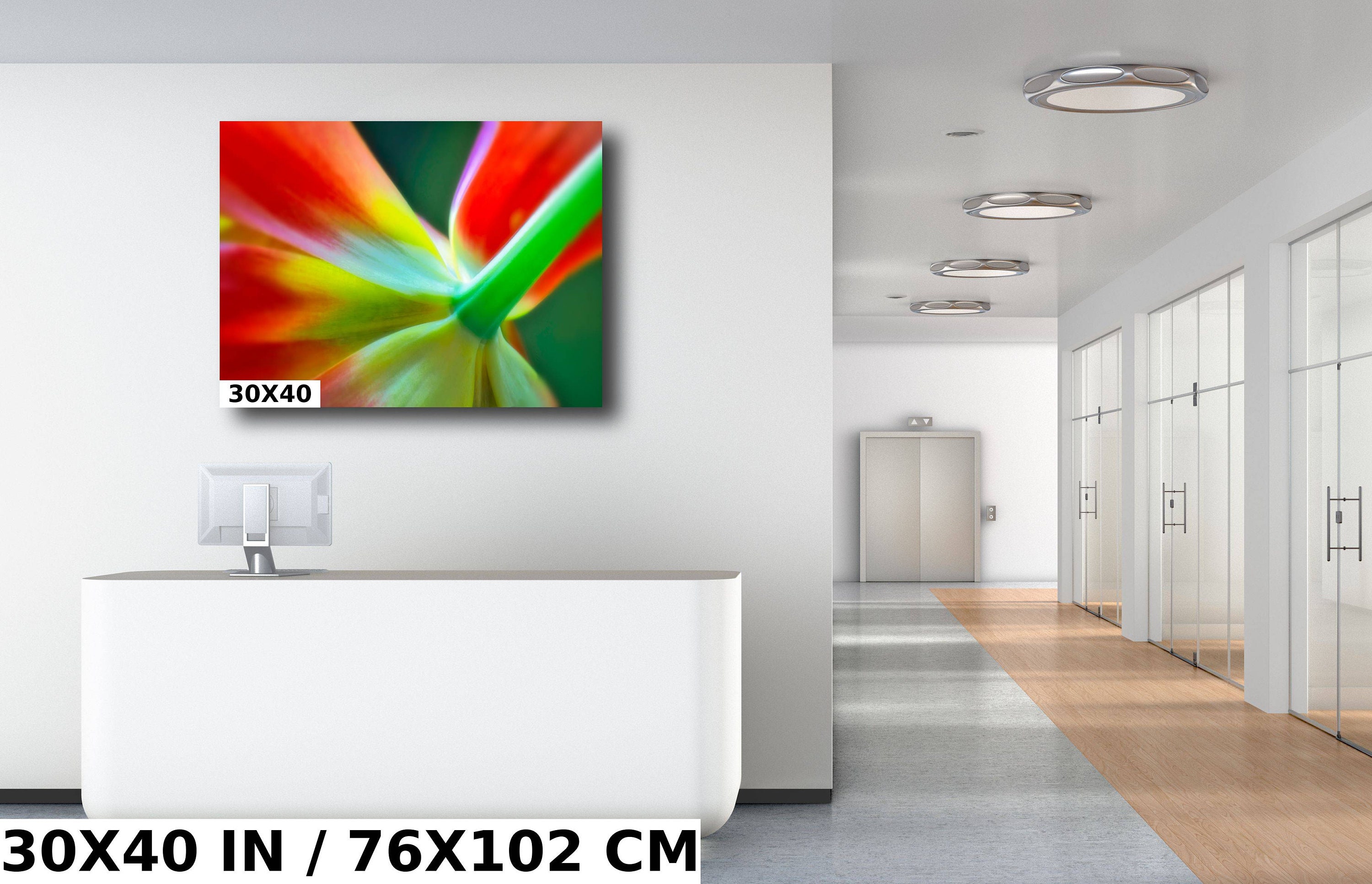 Macro Photo of Tulip: Orton Effect/soft Focus/graphic/fine Art Print ...