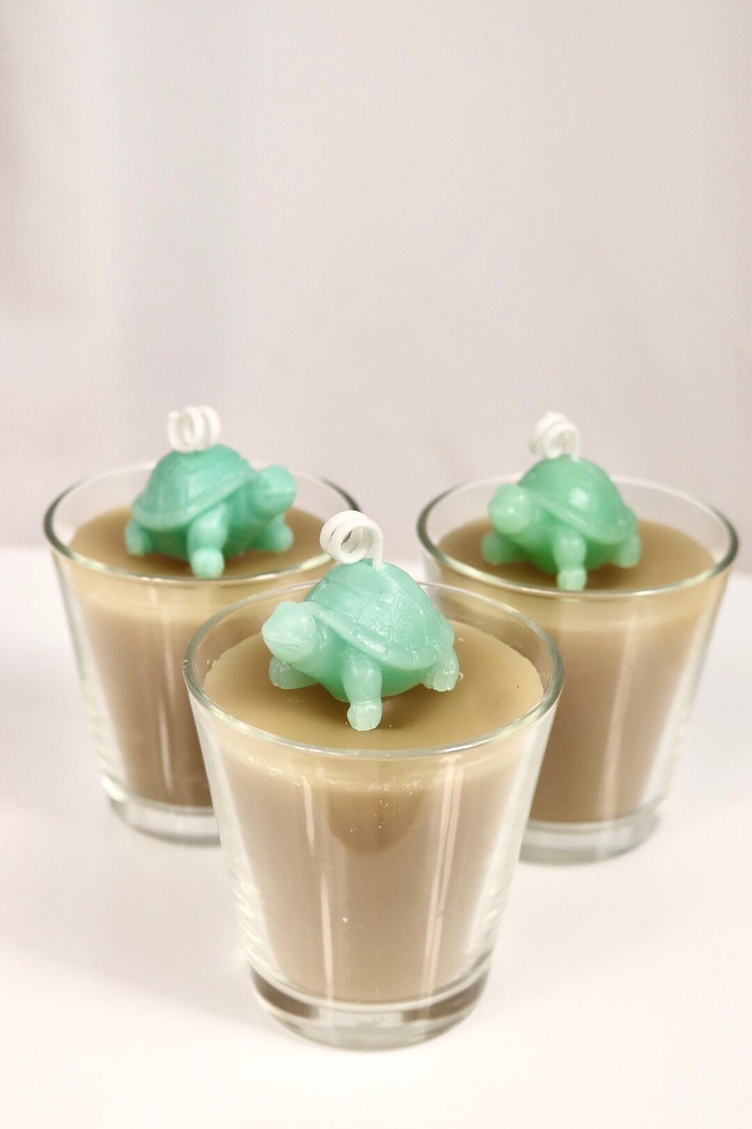 Turtle Candles - Etsy
