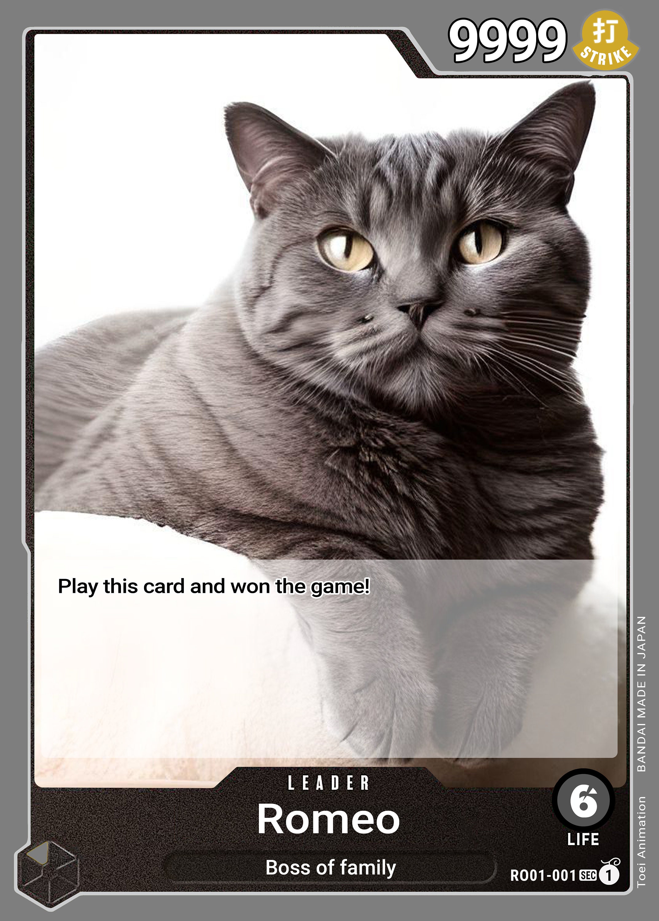 One Piece Holo Fully Custom Cards DON Character Leader - Etsy