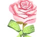 Coquette Rose & Bow Artwork ~ Digital File - Etsy