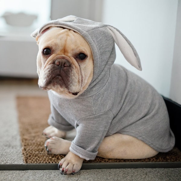 Pet Rabbit Clothing - Etsy