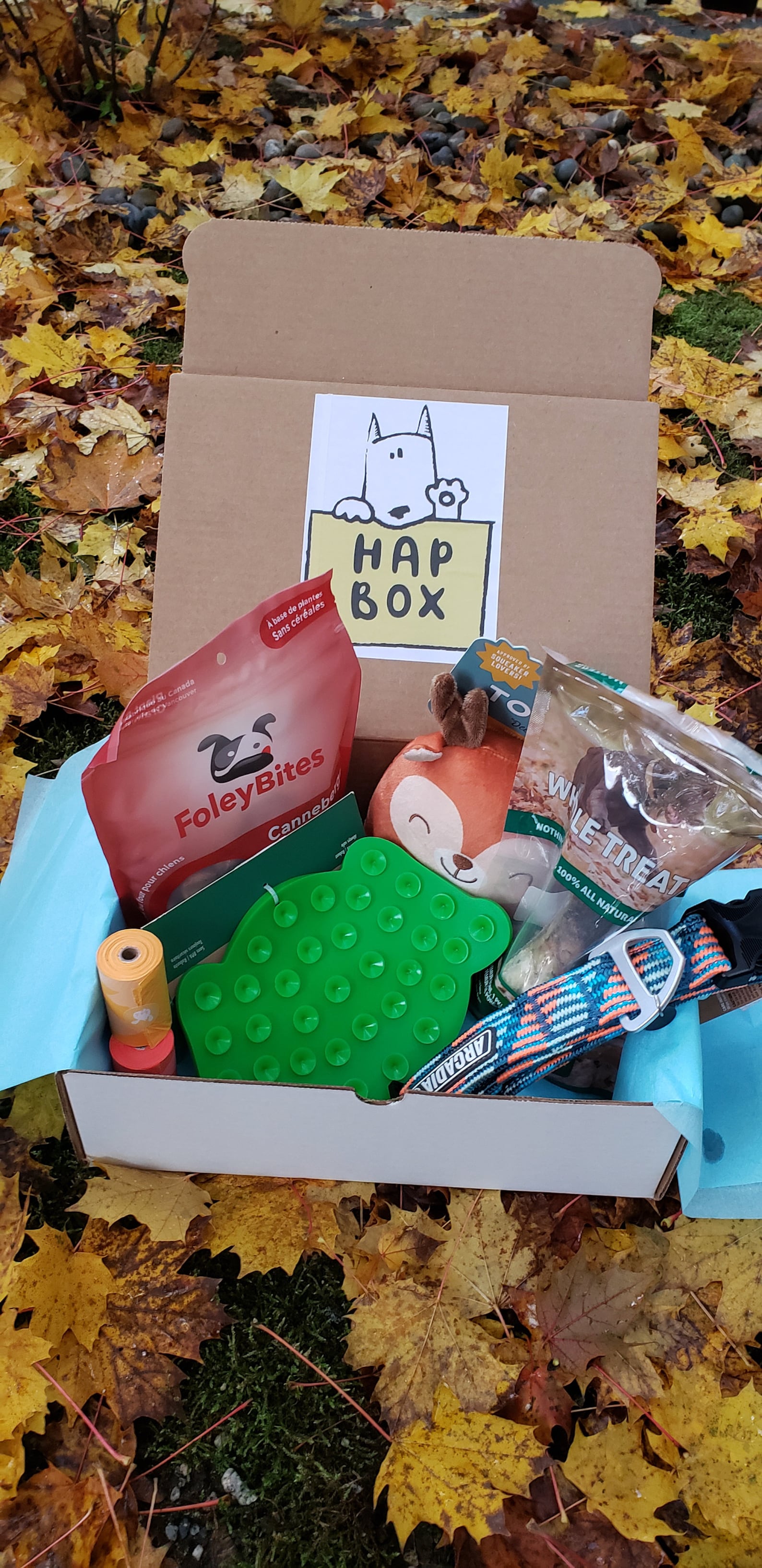 Customizable Gift Box for Dogs- With Each Purchase Donate to Homeless ...