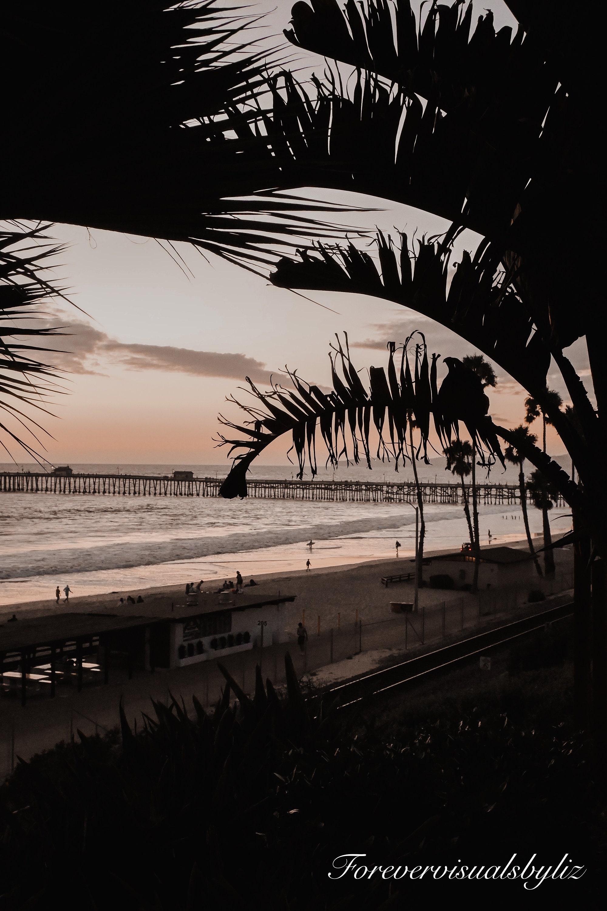 Beach Vibes, Moody Beach, Beach Photos, Beach Photography, Beach Babe ...
