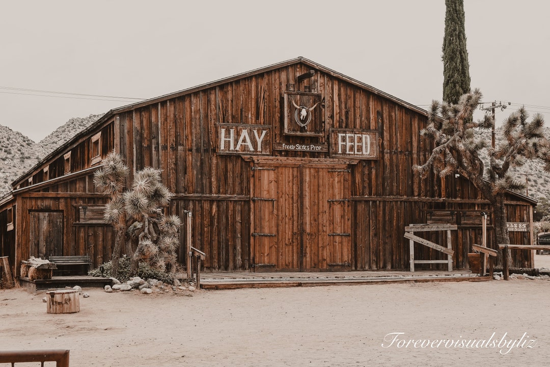 Photography, Desert, Rustic Photos, Barn, Cactus, Desert Roads, Western ...