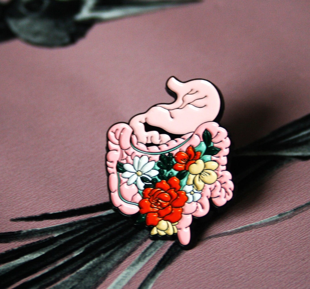Digestive Track Intestines, Colon, Stomach, Gut Health Pin. Gift for ...