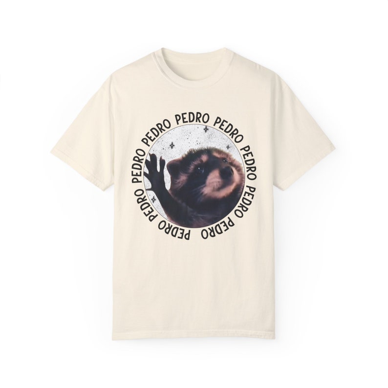 Pedro Pedro Raccoons Vintage Graphic T-shirts, Retro Raccoon Tshirt ...