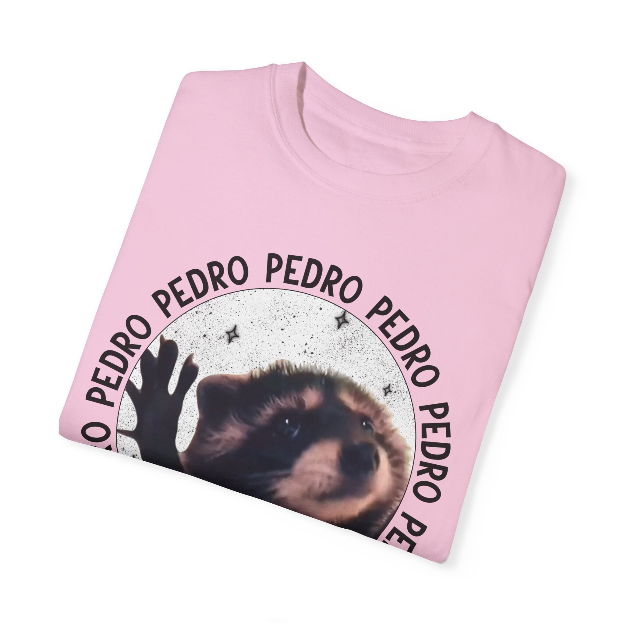 Pedro Pedro Raccoons Vintage Graphic T-shirts, Retro Raccoon Tshirt ...