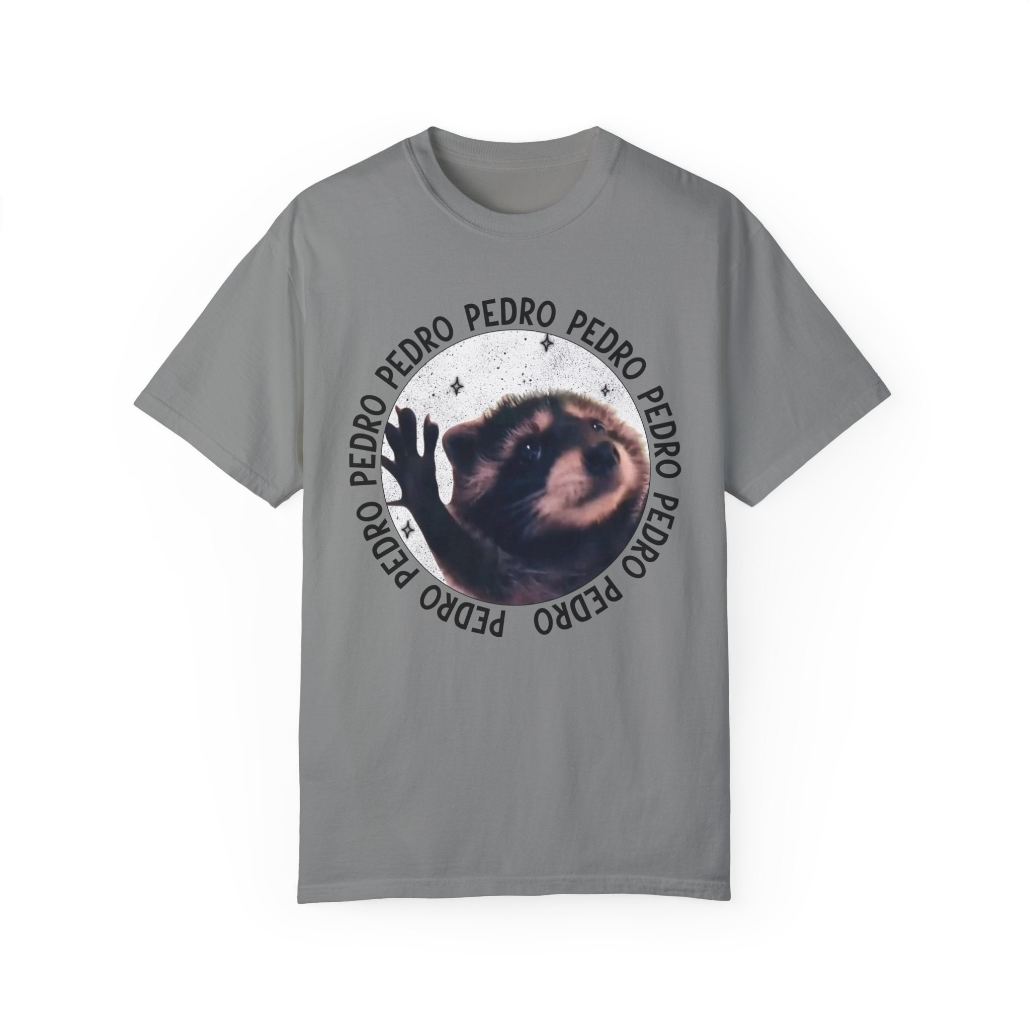 Pedro Pedro Raccoons Vintage Graphic T-shirts, Retro Raccoon Tshirt ...