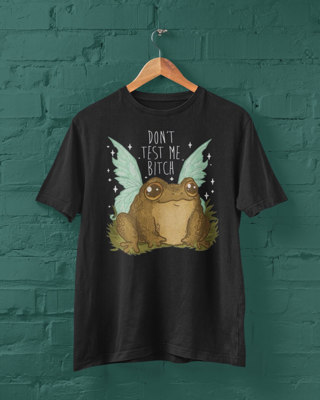 Don't Test Me Btch Frog T-shirt, Funny Sarcastic Graphic Tee, Kawaii ...
