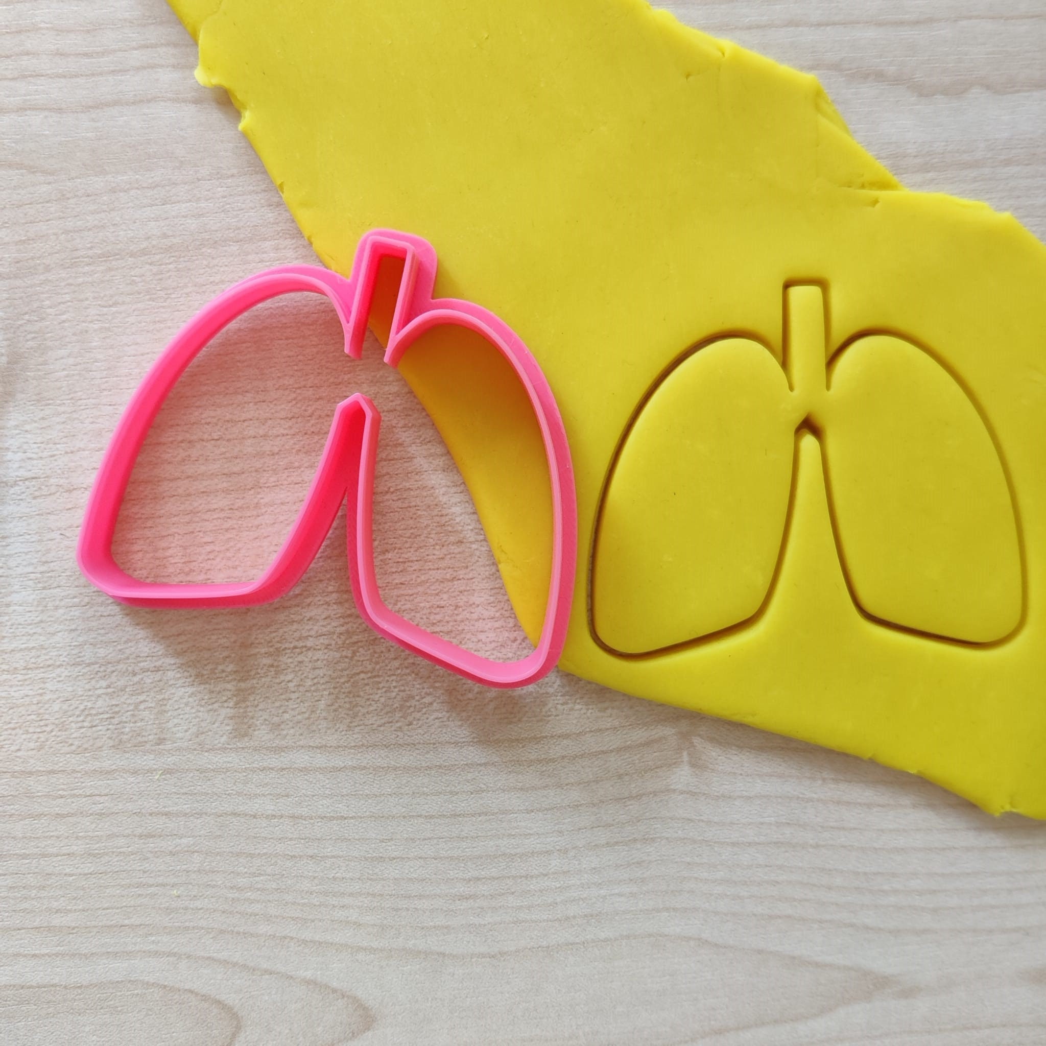 Anatomy Cookie Cutter Set Medical Student Gift - Etsy
