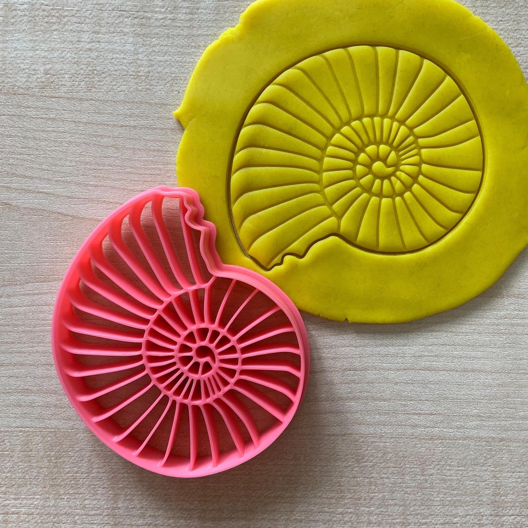 Fossil Cookie Cutter, Ammonite Biscuit Stamp, Old Archeology Study ...