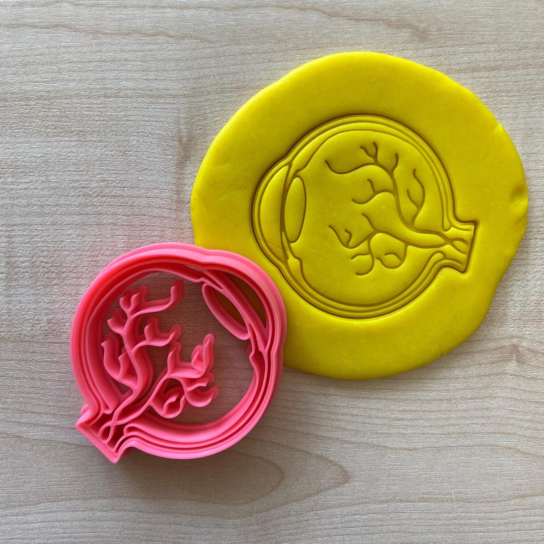 Eyeball Cookie Cutter, Side View Anatomical Eye Shaped Biscuit Fondant ...
