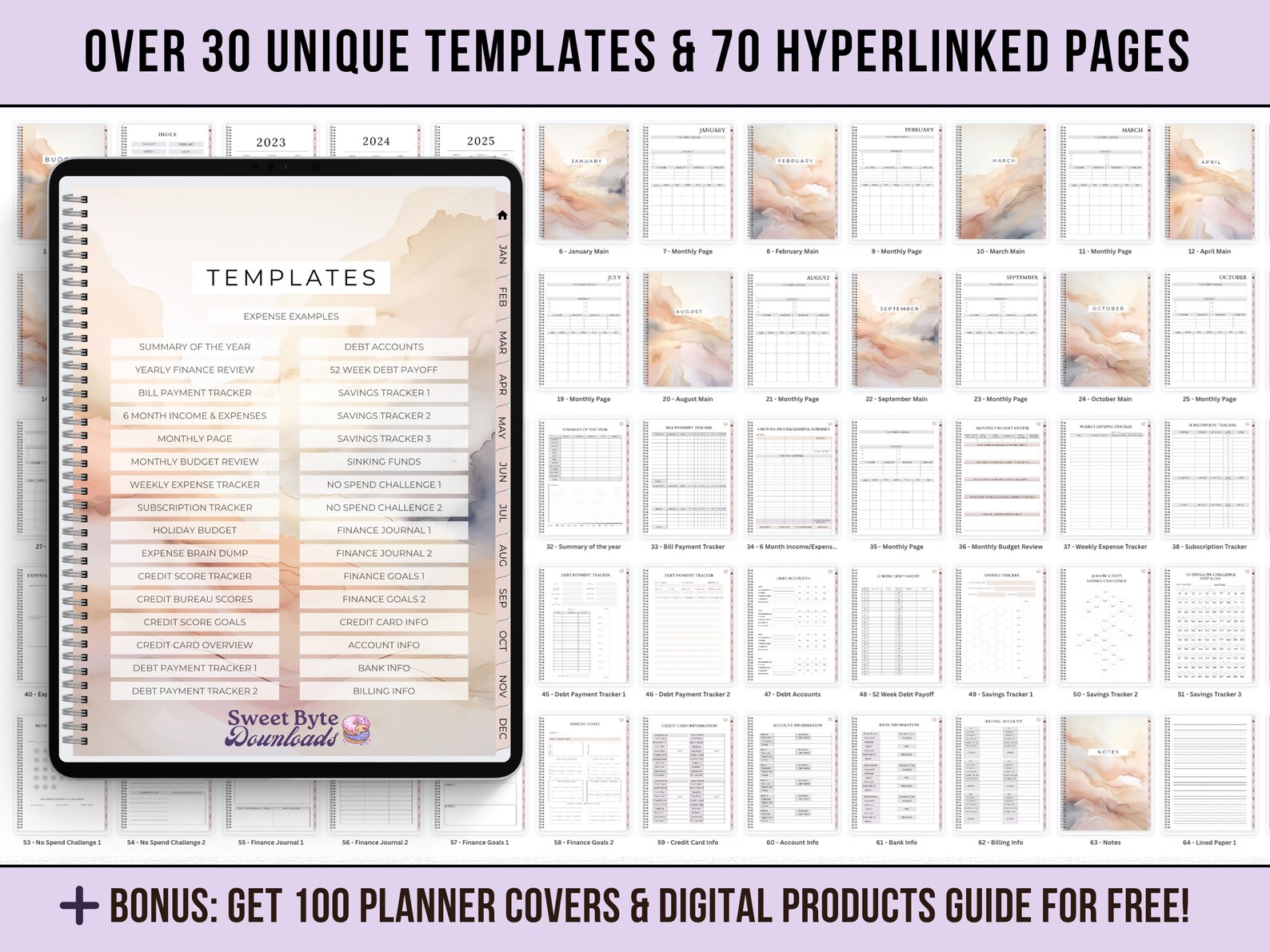 PLR Digital Planner to Resell Budget Canva Plr Template PLR Template ...