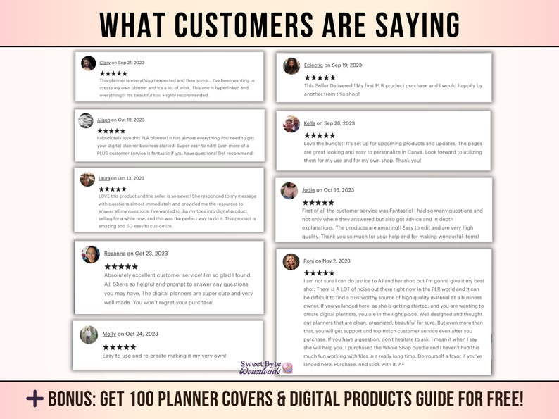 PLR Printable Planner Templates to Resell Client Management Planner ...