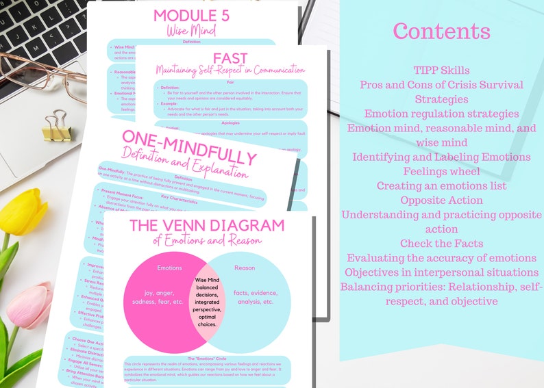 DBT Workbook, Dbt Cheat Sheet, Dbt Cards, DBT Worksheet, DBT Diary Card ...