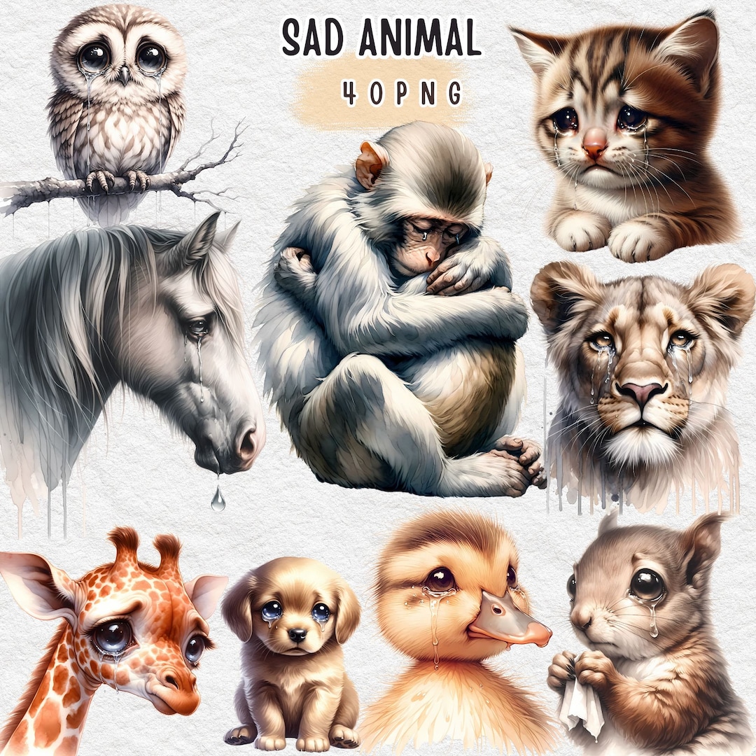 Sad Animals, Sad Animal, Animals Clipart, Animal Cry, Sad Art, Crying ...