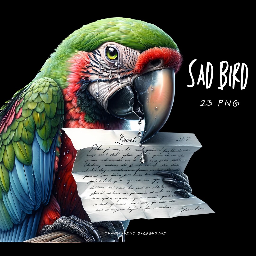 Sad Bird, Spring Birds, Springtime Bird Images, Charming Birdie ...