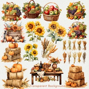 Watercolor Harvest Clipart, Autumn Clipart Bundle, Cozy Fall Clipart ...