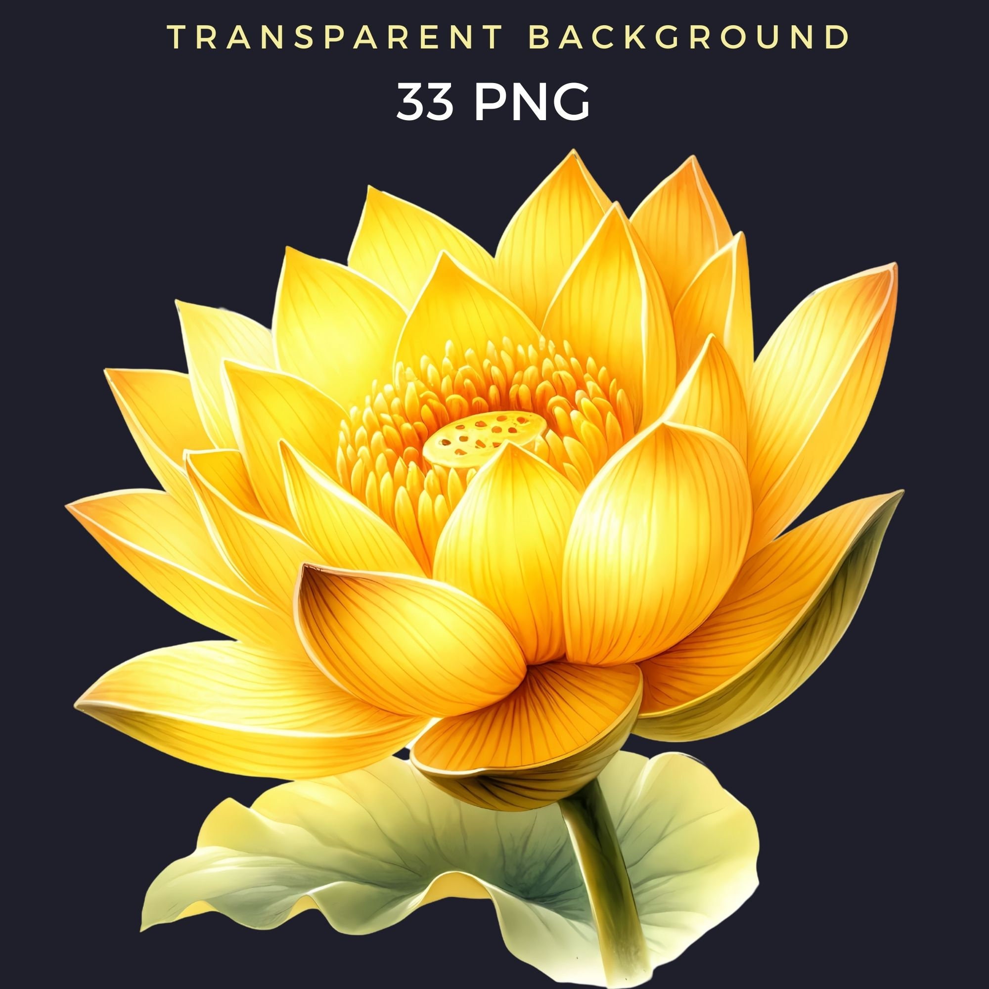 Spring Lotus, Watercolor Lotus Flowers, Flower Art, Serene Lotus ...