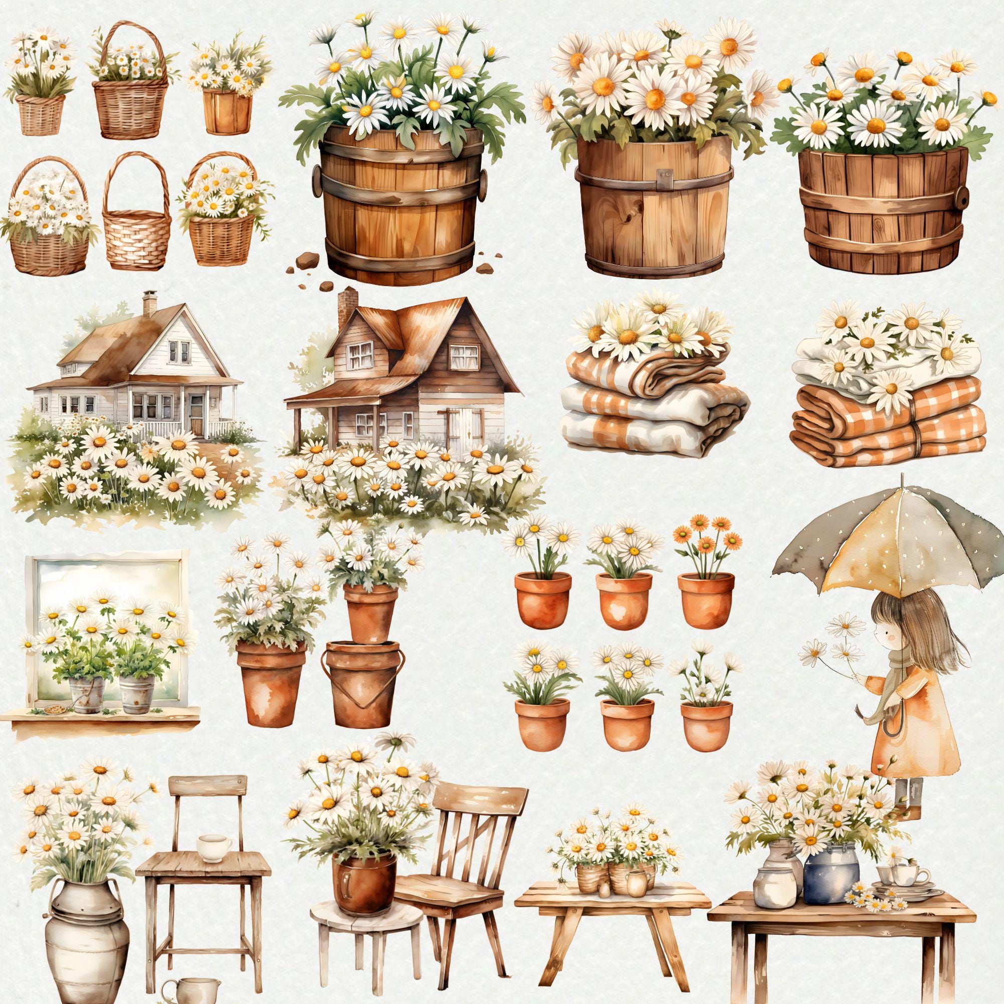 Watercolor Daisy Clipart: Spring & Summer PNG (commercial Use) - Etsy