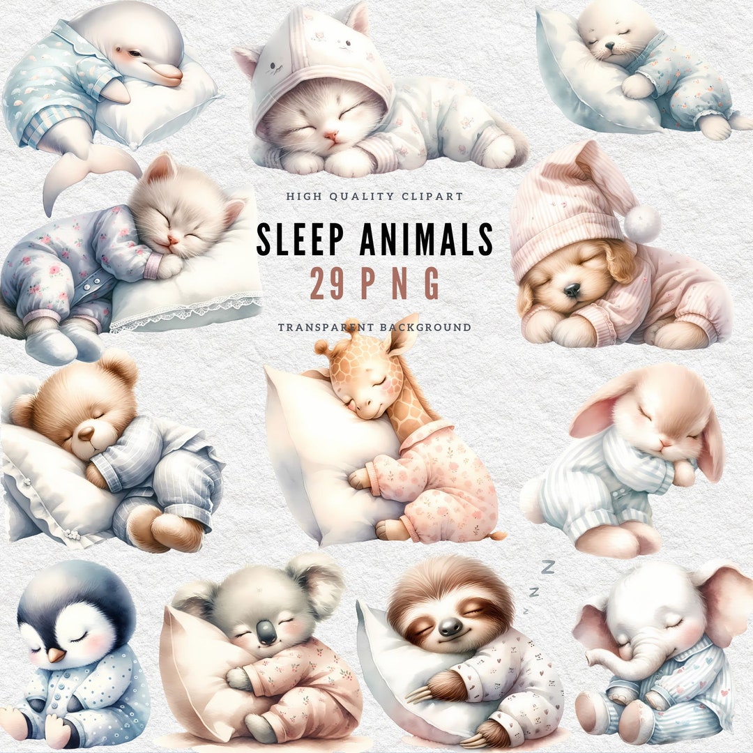 Sleep Animals, Watercolor Sleepy Animals Clipart, Little Animal Clipart ...