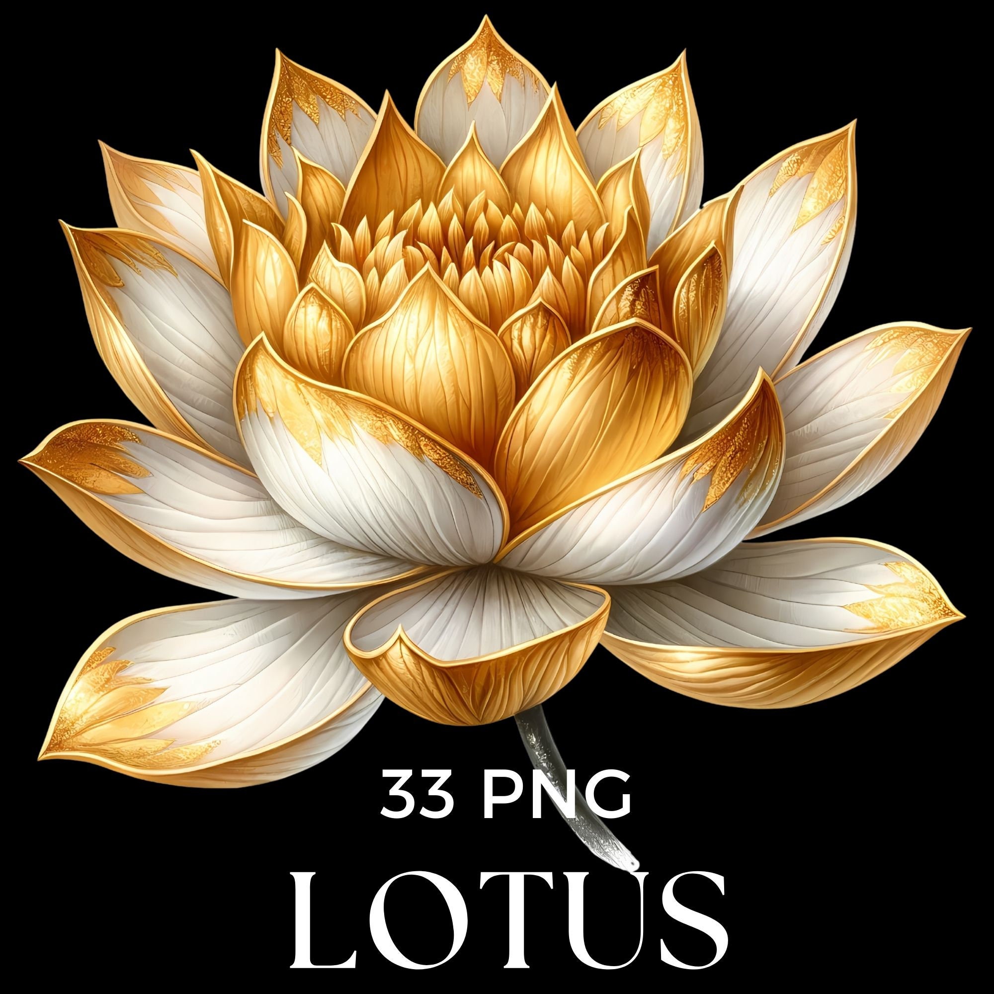 Spring Lotus, Watercolor Lotus Flowers, Flower Art, Serene Lotus ...