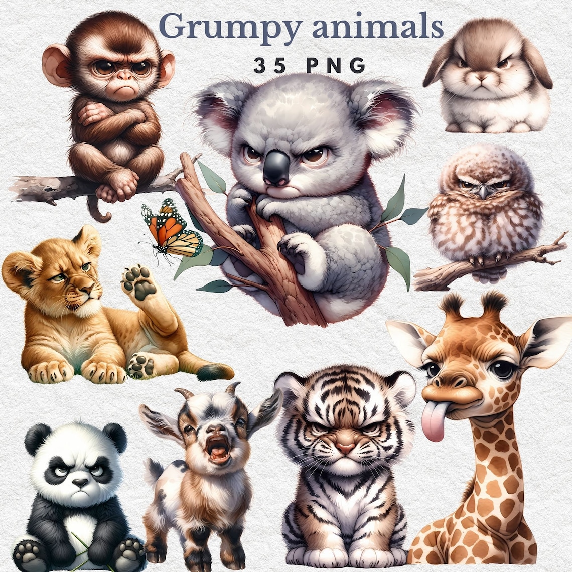 Grumpy Animals Watercolor Clipart: Cartoon Pet Prints (PNG) - Etsy