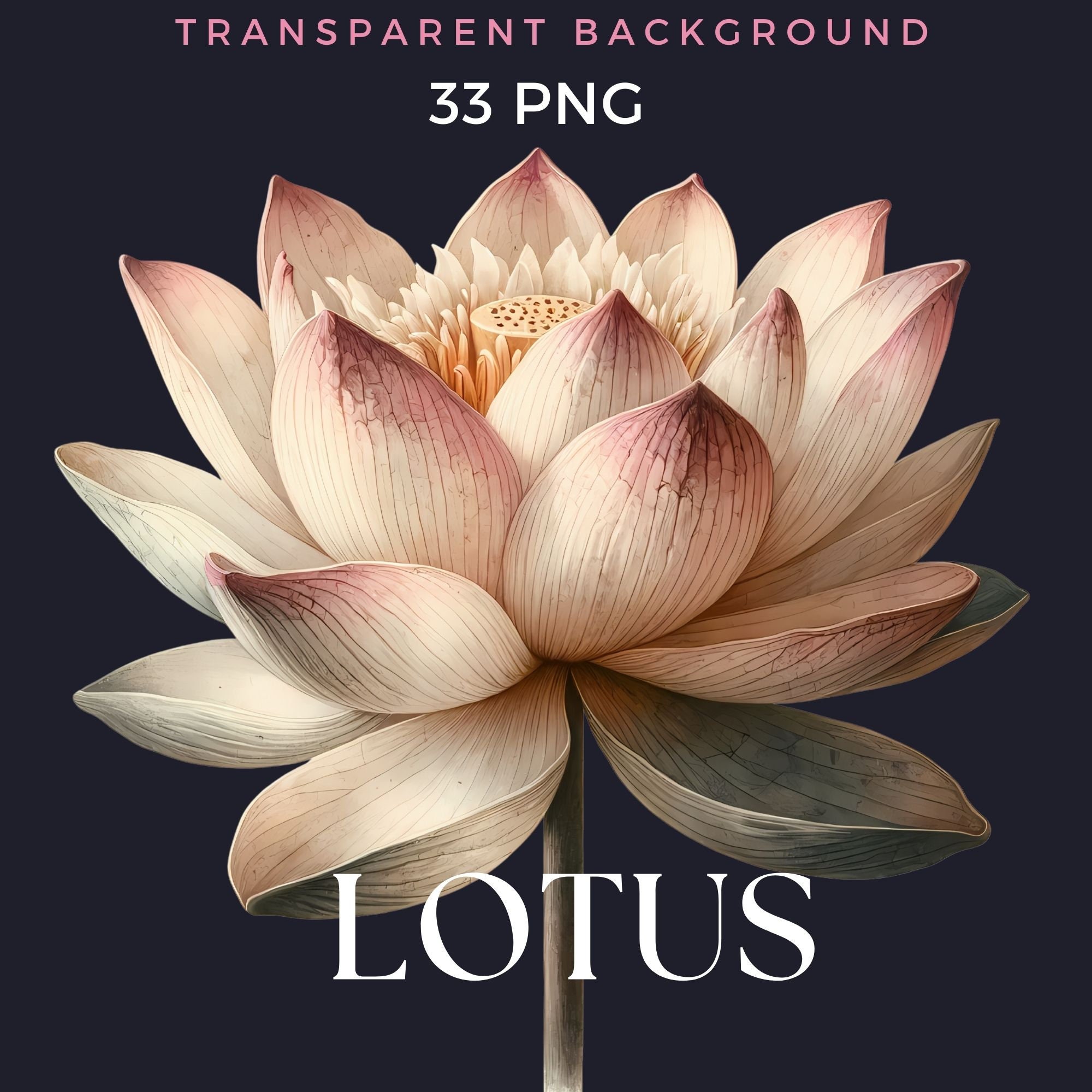 Spring Lotus, Watercolor Lotus Flowers, Flower Art, Serene Lotus ...