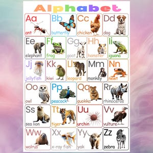 Printable Alphabet Poster Uppercase Letter Lowercase Letter Educational ...