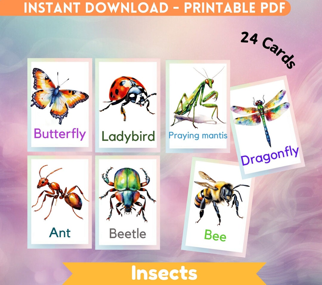 Insect Flashcard Printable Cute Bug Flash Card Homeschooling Montessori ...